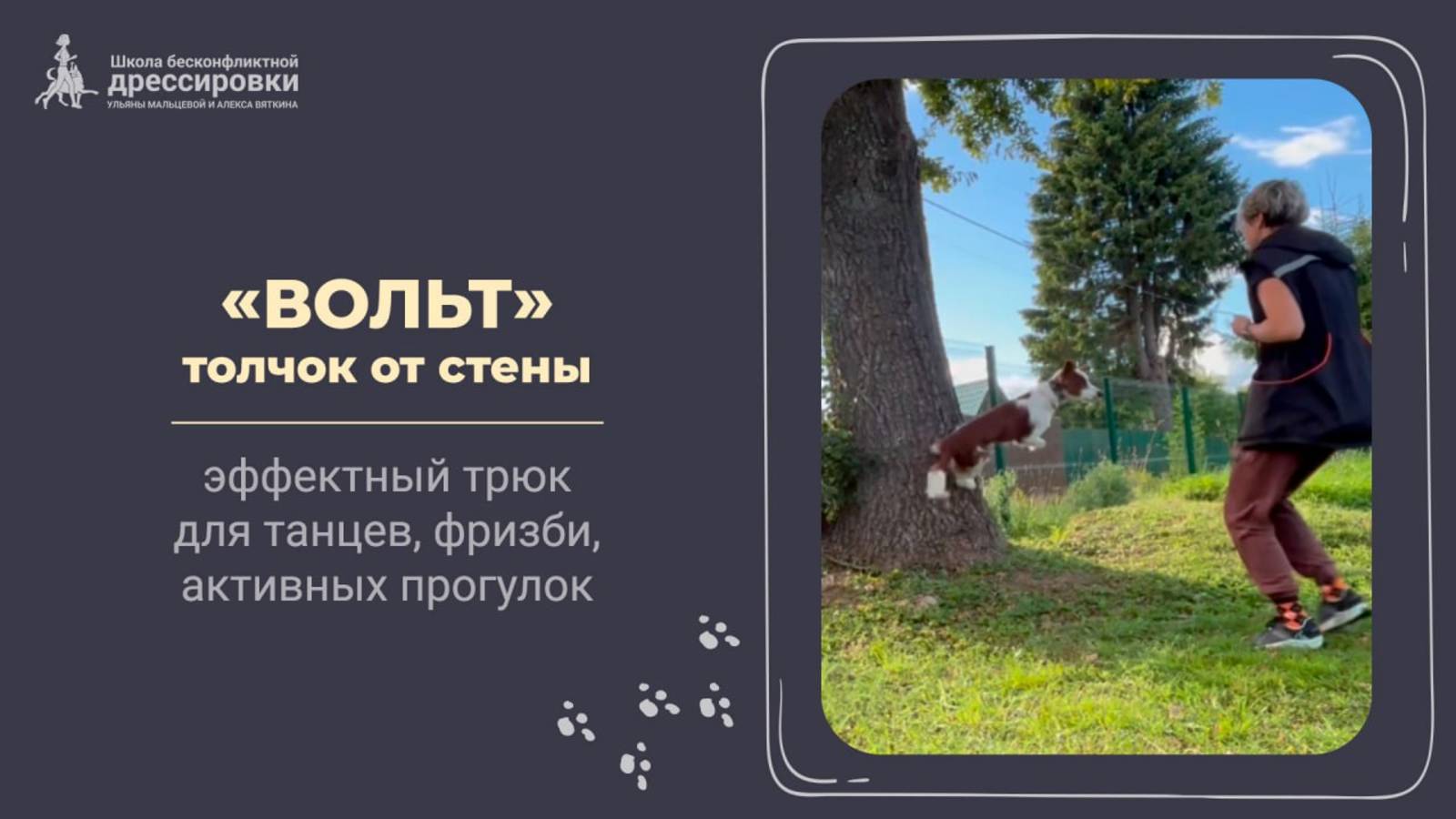 Учим трюк "Вольт" - опорный прыжок от вертикальной поверхности