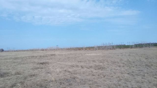 Исчезнувший посёлок Баудеровский, Пугачёвский район.