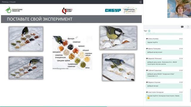 Вебинар ''Помощь птицам''