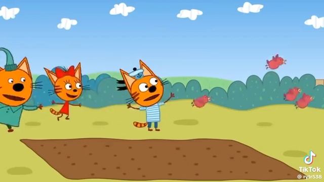 Три кота RYTP 6