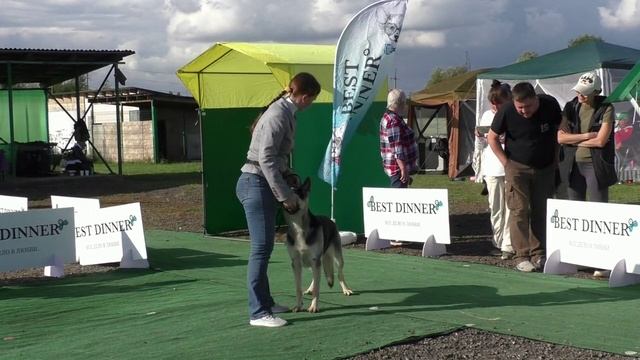 Ветер с Востока Консуэлло