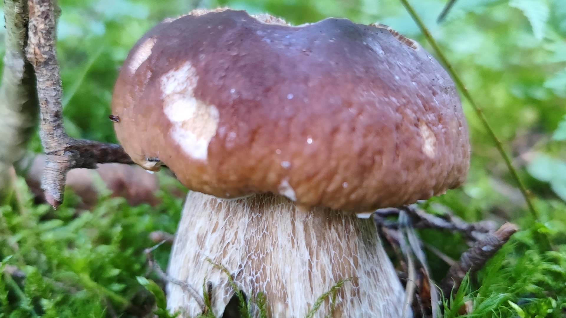 Вот это НОМЕР!