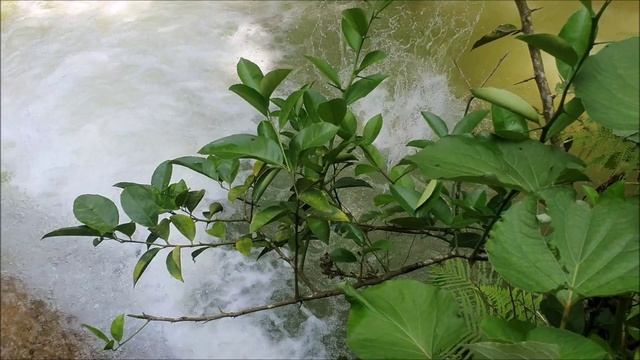 2024-08-07 КУБА: ВОДОПАД ЭЛЬ-НИЧО