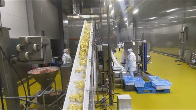 Автоматическая подача Теста и Фарша на Два Пельменных автомата АП1100