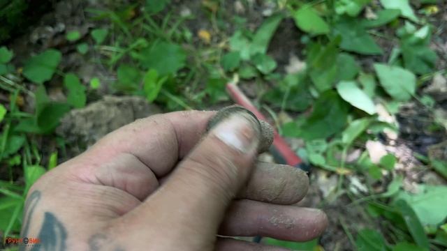 И монет накопали и грибов набрали. Копаю с Garrett Vortex