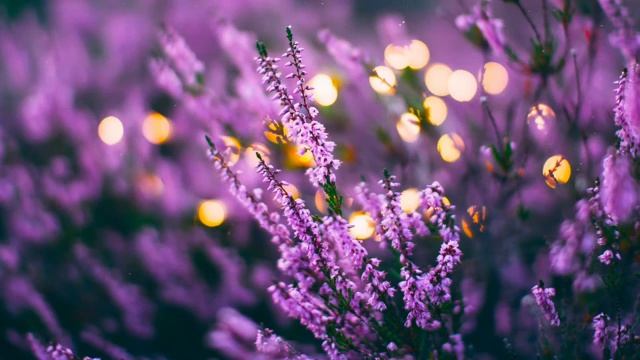 Расслабляющая музыка  для снятия стресса и медитации