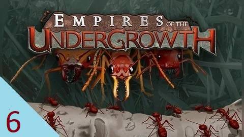 Empires of the Undergrowth 6