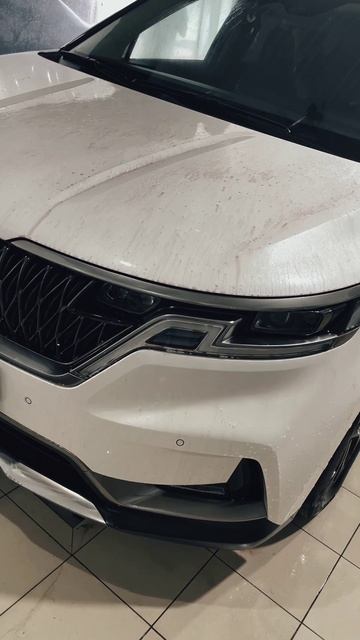 Качественная мойка и уход за вашим авто в Севастополе