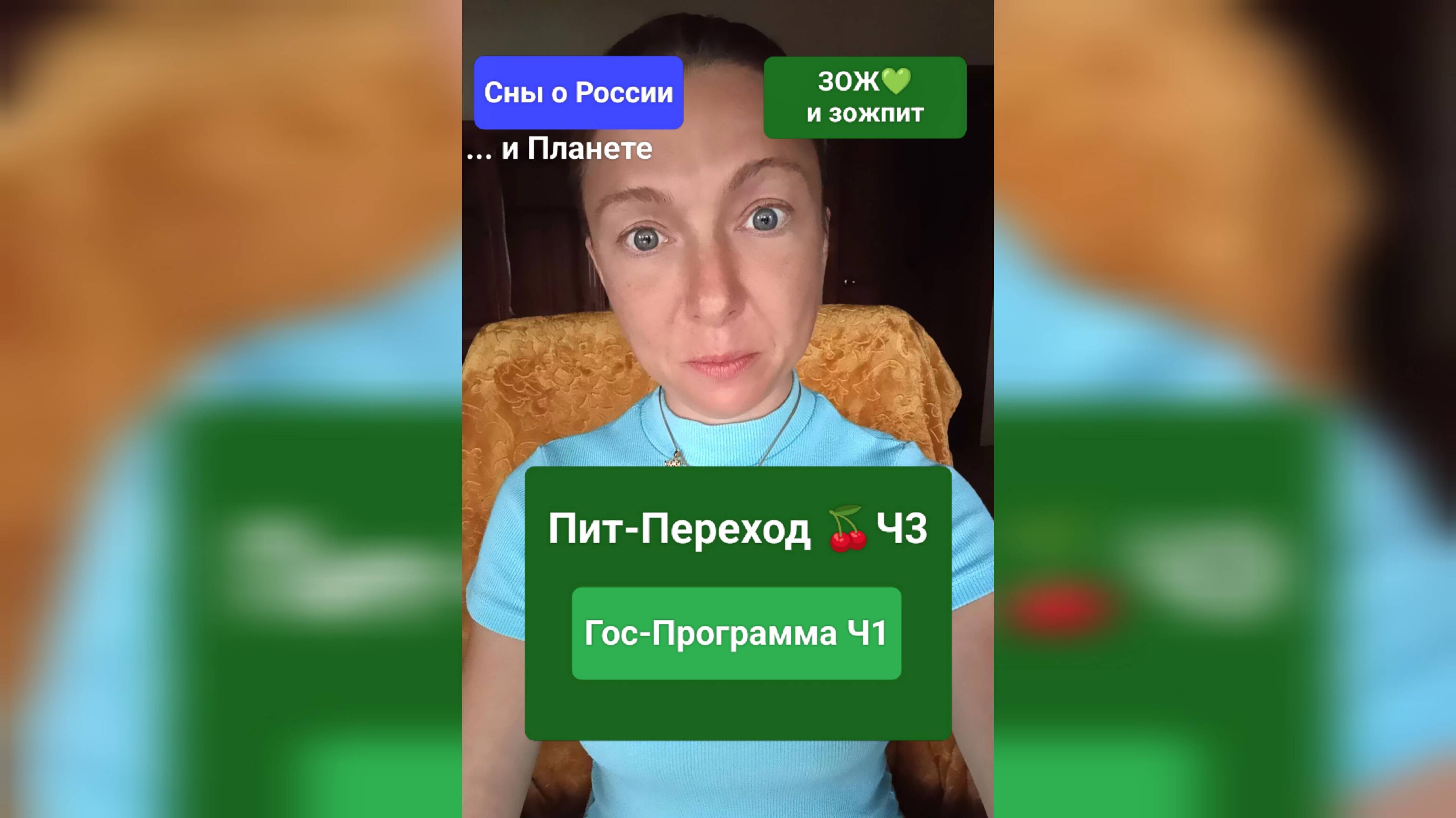 Пит Переход - Ч3: Гос Программа