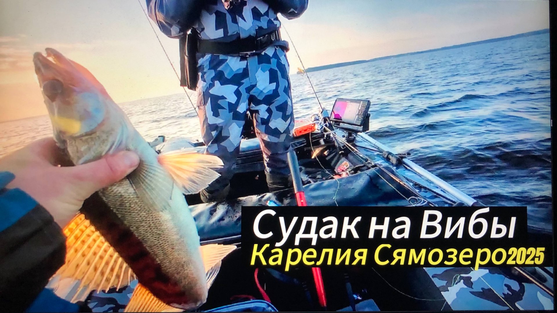 Карелия Август 2025 , Сямозеро , Ловим на вибы и ратлины судака,окуня ,щуку. Рыбалка в Карелии .