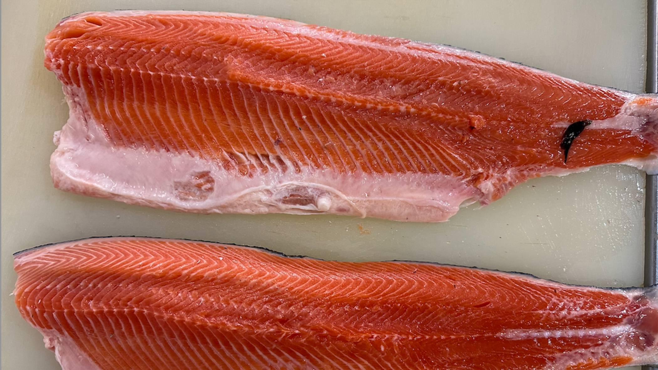 Филетировочная машина для красной рыбы (лососевых) CHSF(CHBF)-2. Трим А и В. Выход от ПБГ до 86%.