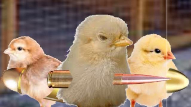 лост пулитос