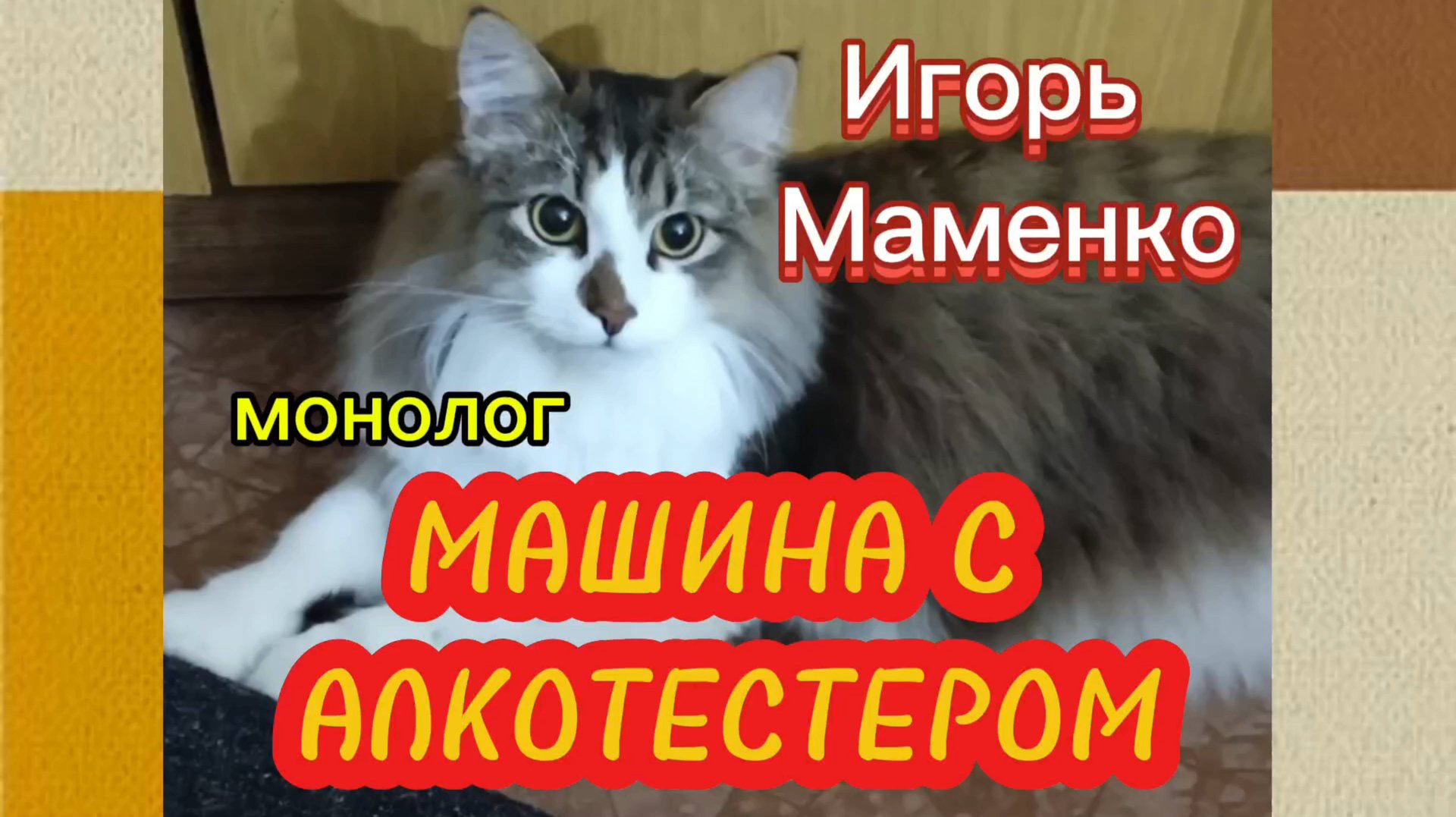 ИГОРЬ МАМЕНКО лучшее. Монолог  "МАШИНА С АЛКОТЕСТЕРОМ"
