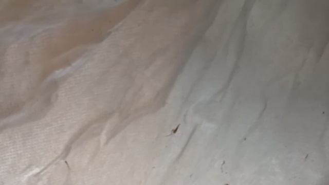 Случайно я постирала спандбонд в моей стиральной машинке Фея и убедилась в отличном результате!