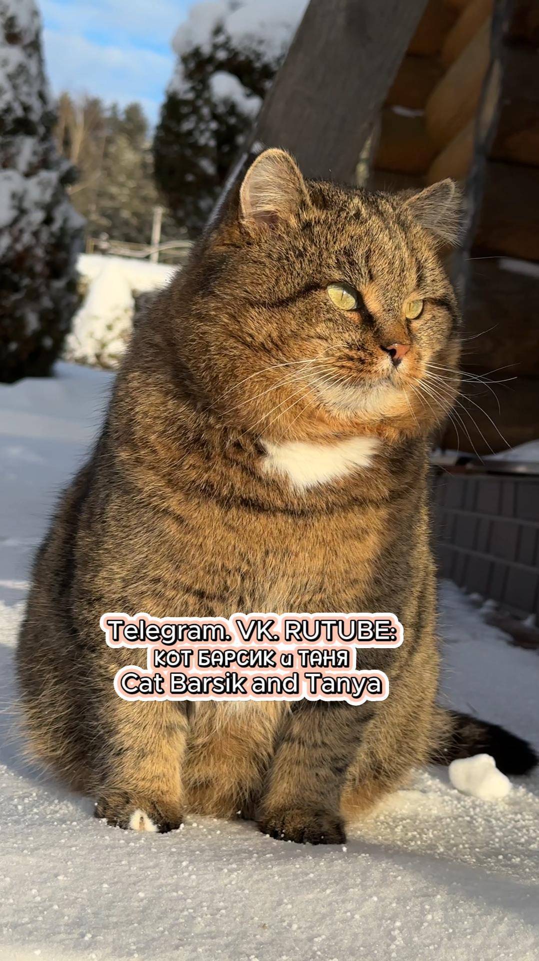 Вы - в надежных руках!