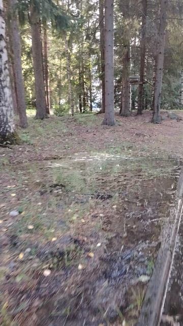 Geyser на Горе ©20250820