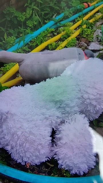 ДЭНИС И КРИПОНЯ И ПУХЛЯШ ТЕЛЕПОРТИРУЮТСЯ