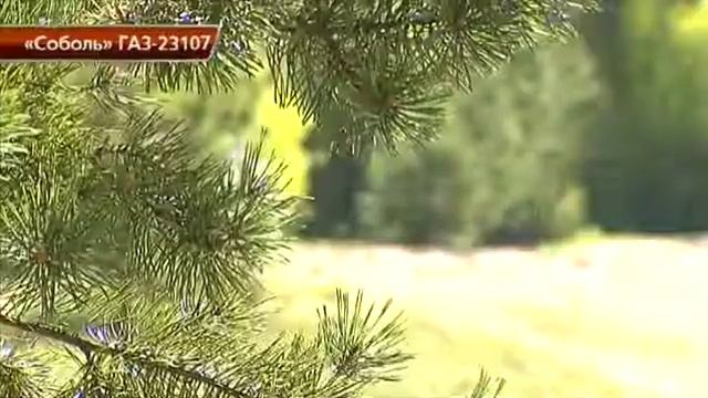 МЛПК на базе ГАЗ "Соболь"