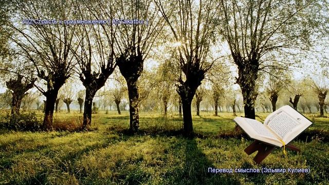 Священной Коран - Смысловой перевод на русский язык (Эльмир Кулиев) - 102. Страсть к приумн