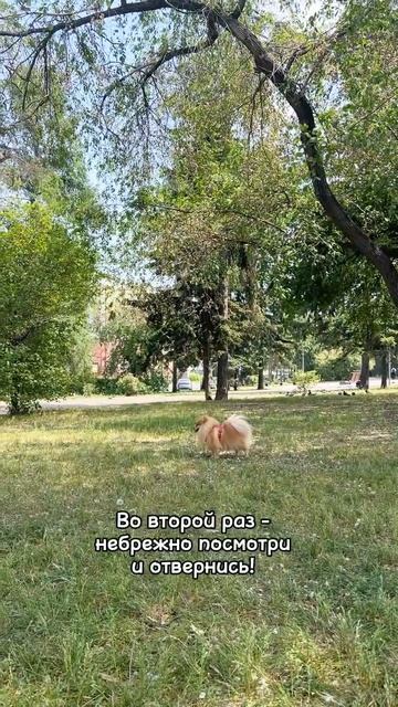 Как заставить человека ценить тебя!