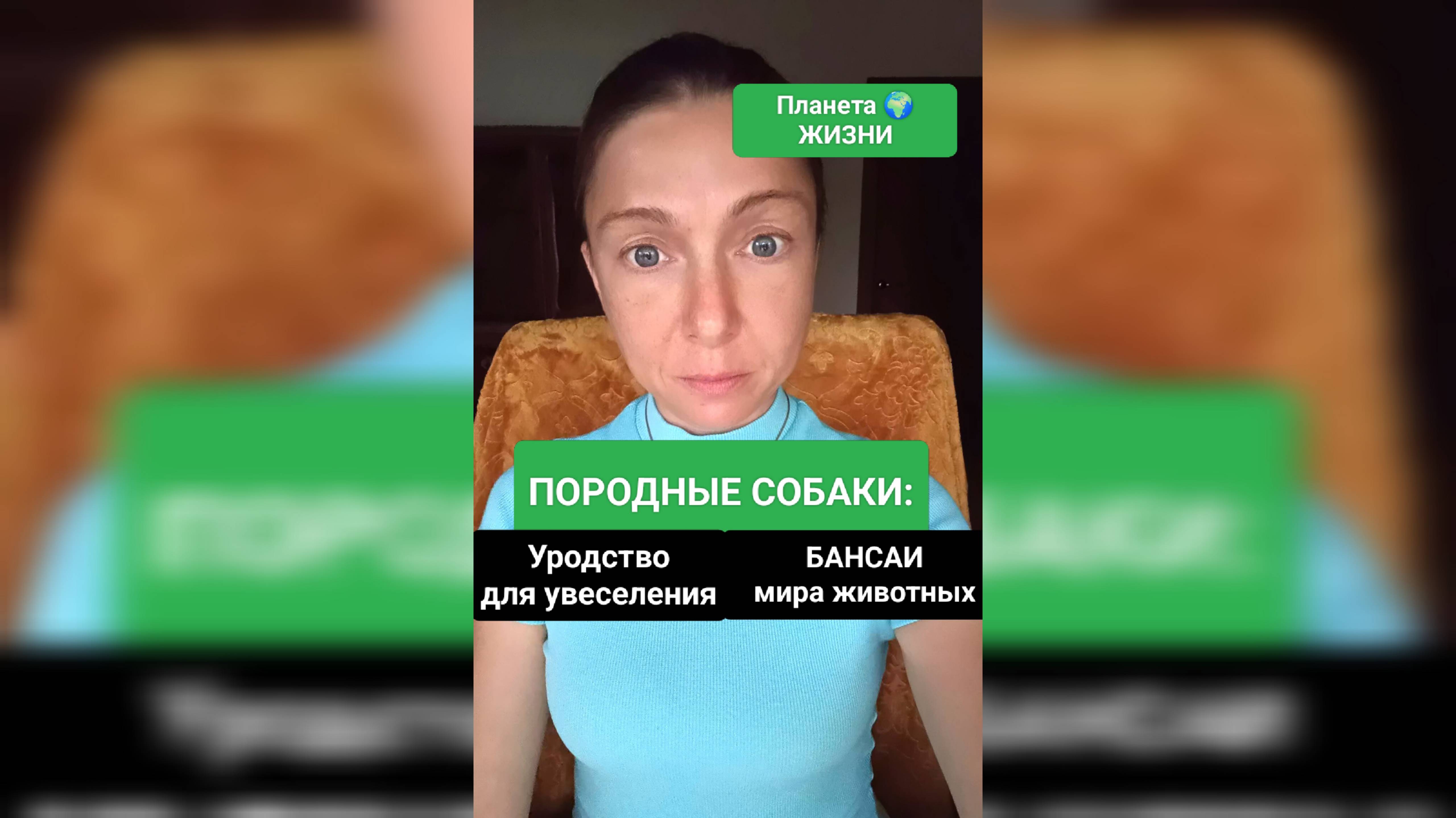 Породные собаки: Раздача ущербных тел, БАНСАИ мира животных