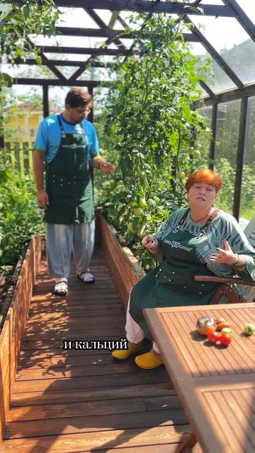 МИФ О ВЕРШИННОЙ ГНИЛИ