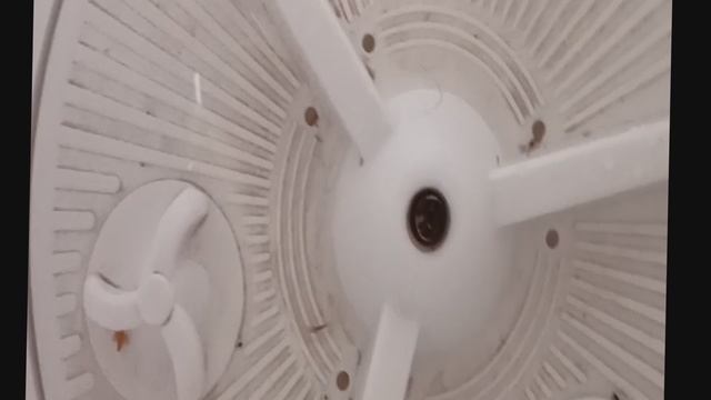 Барабан для стирки в моей дачной стиральной машине ФЕЯ, который вмещает 3 кг сухого белья.