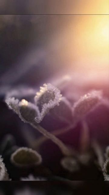 Ещё чуть-чуть и будет ЭТО!🌬❄️