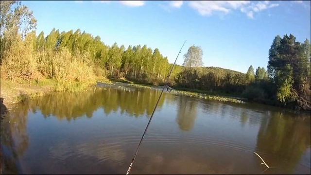 МОРМЫШИНГ, ТЕСТ РЕЗИНЫ ОТ КАСАДАКИ. РАБОТАЕТ)