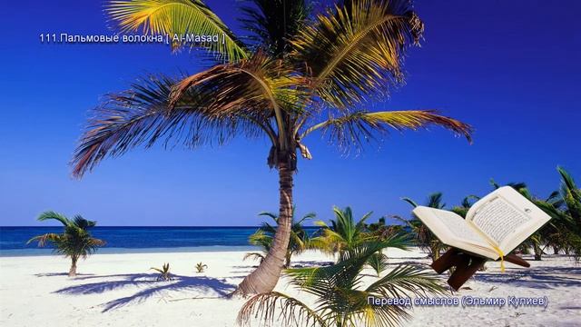 Священной Коран - Смысловой перевод на русский язык (Эльмир Кулиев) - 111. Пальмовые волокн