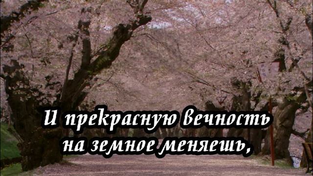 Ксения Лапицкая - В этот вечер Спаситель(-)
