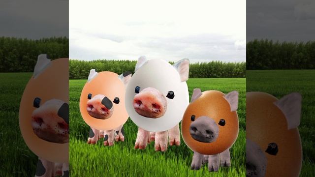 лост хрюпабело