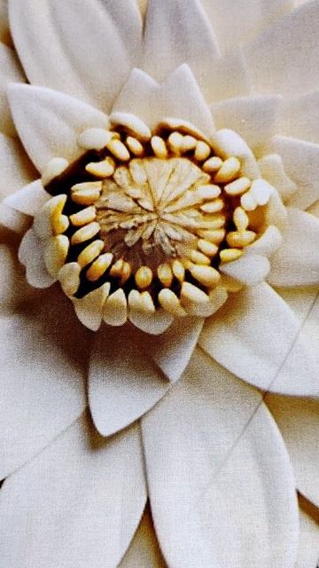 Ранфорс 5D рис.7