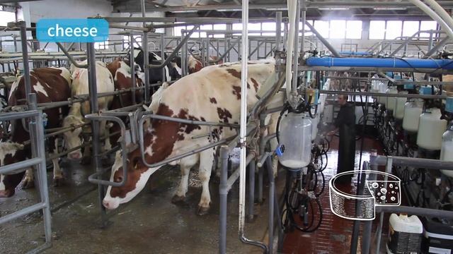 SM2ed Think_learn video L1 U4