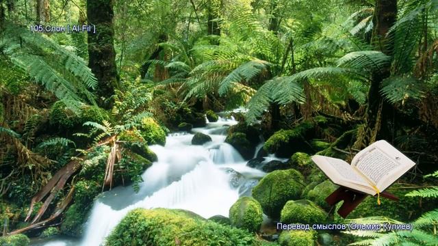 Священной Коран - Смысловой перевод на русский язык (Эльмир Кулиев) - 105. Слон (Al-Fil) -