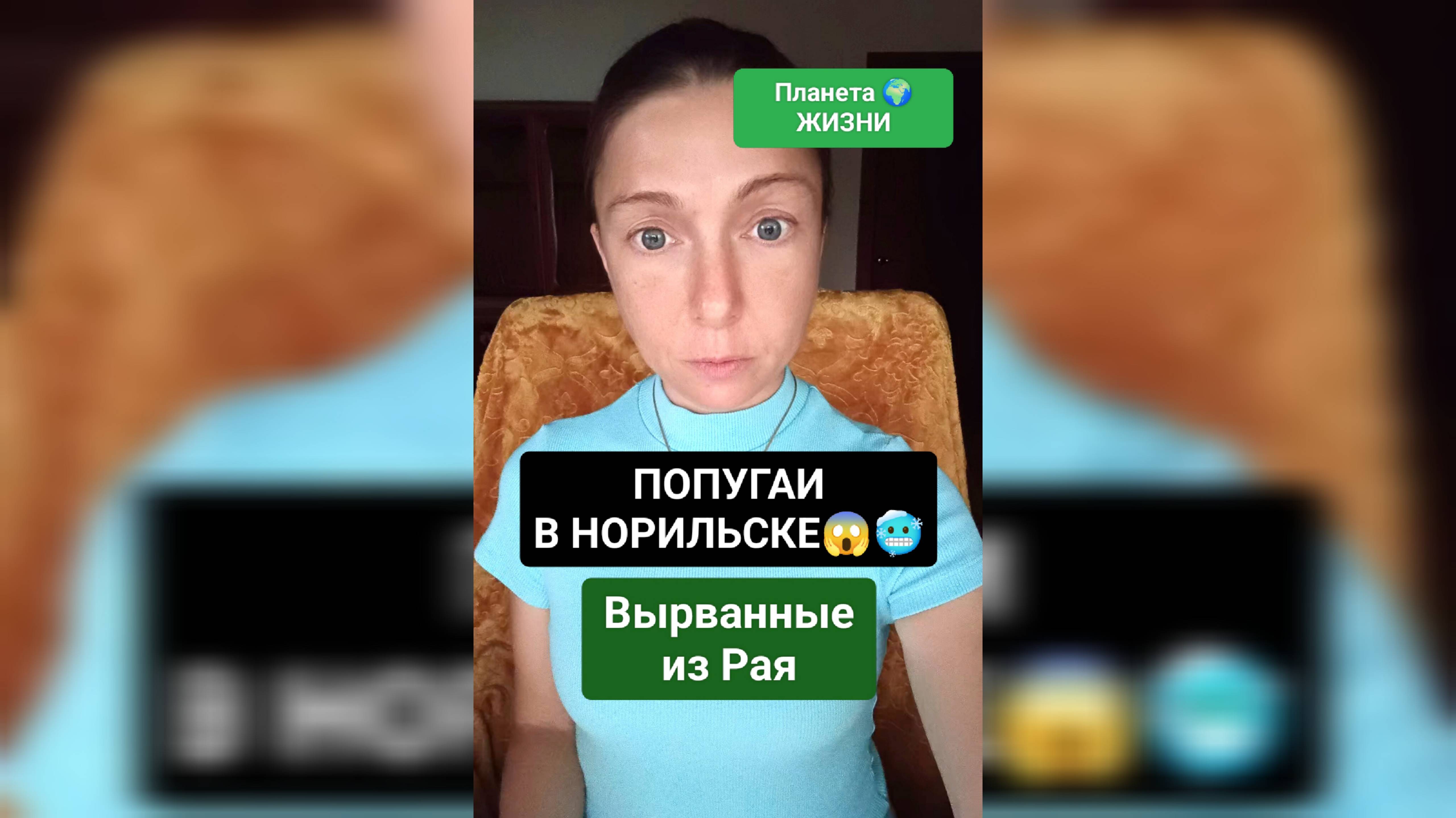 Животные вне среды - попугаи, лемуры, сервалы, каракалы...