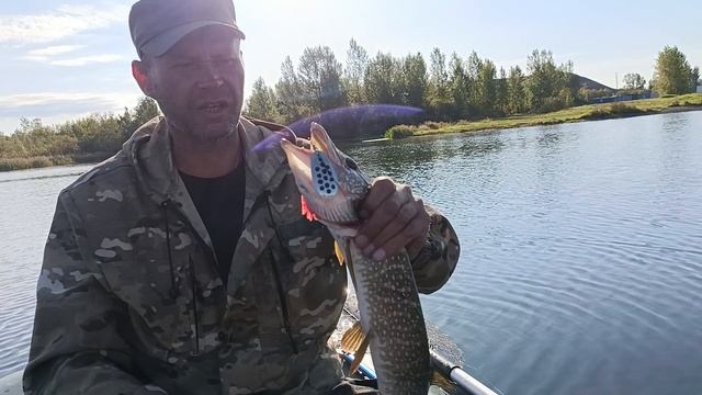 на какие блесна брала щучка сегодня