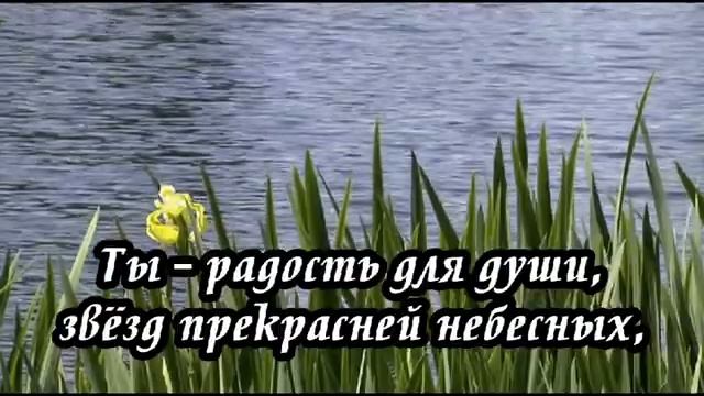 Ксения Лапицкая - Ты напоил меня (Источник благодати)(-)