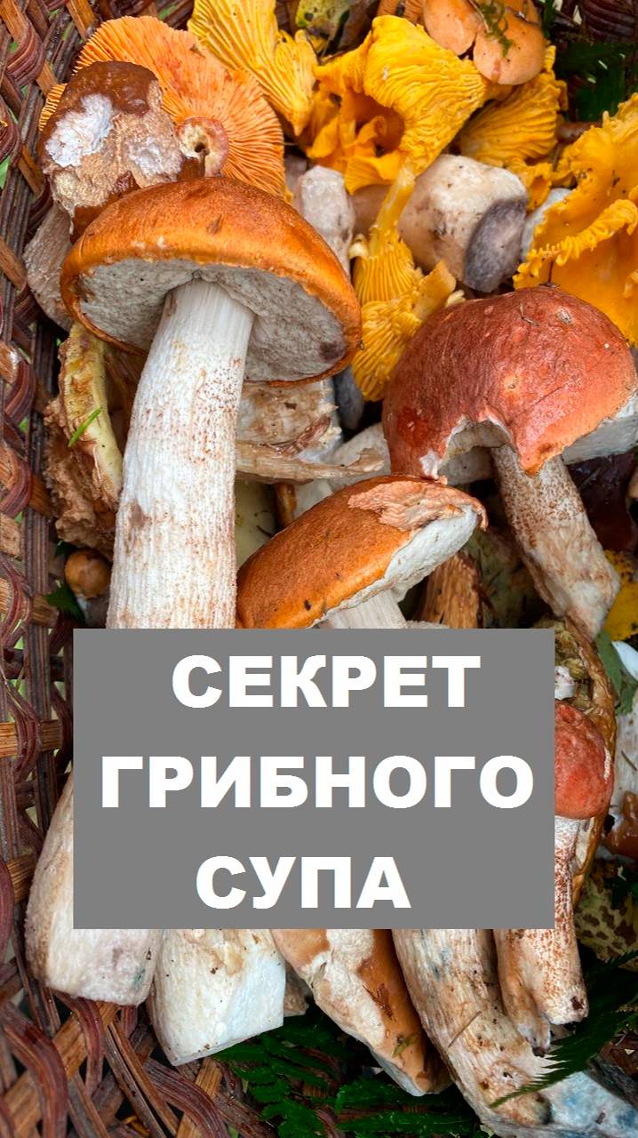 Секрет грибного супа