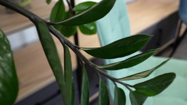 Стул медисон обзорный NEW_3