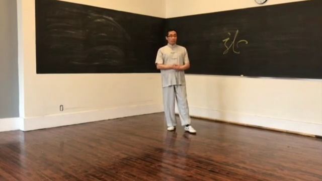 Хай Ян Уроки Синъи (проект «Возвращение китайской практики») на русском языке-15