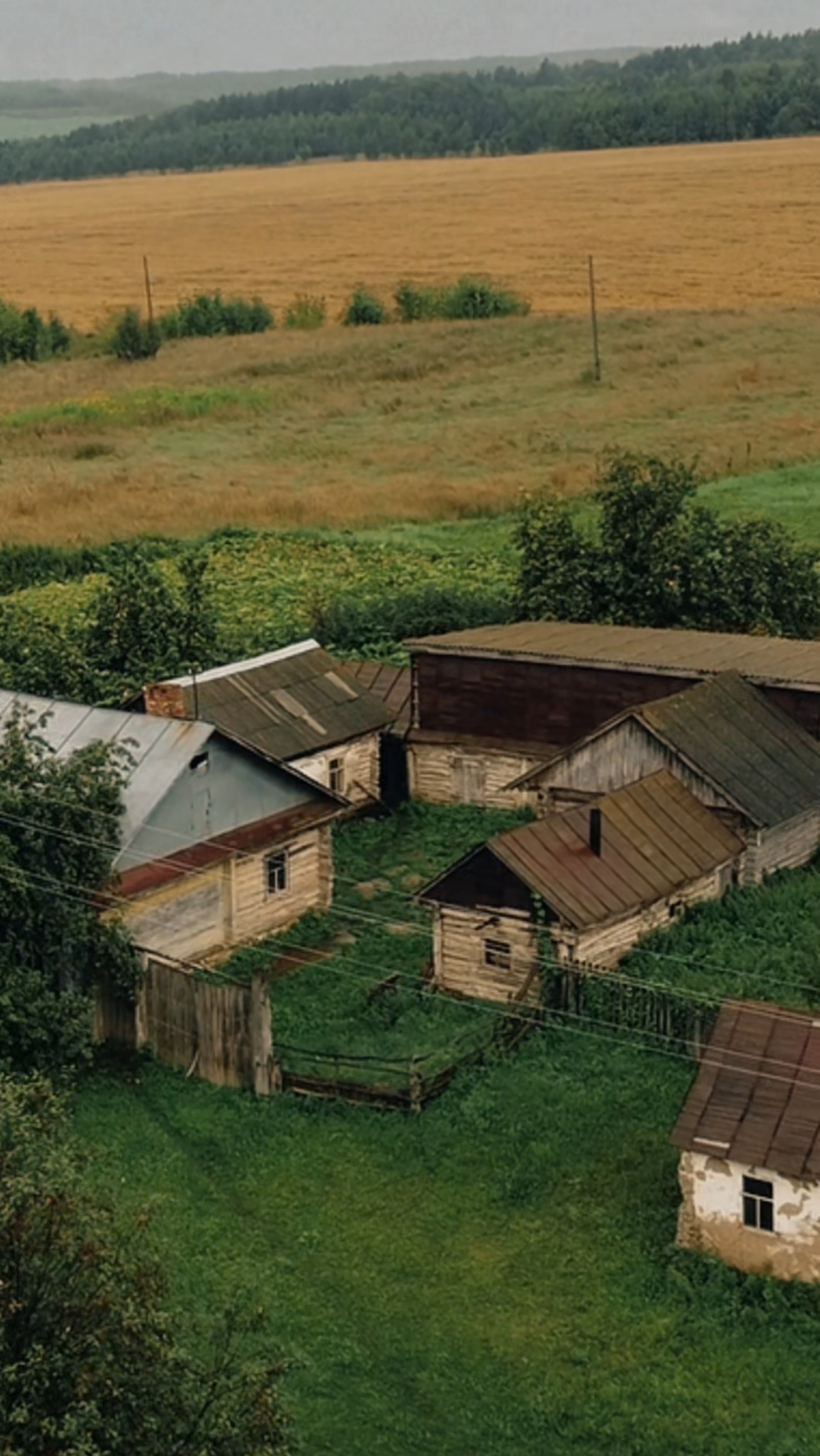 С.Есенин «Я покинул родимый дом»