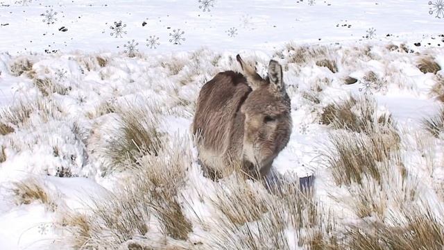 SM1 Think_learn video L1U3