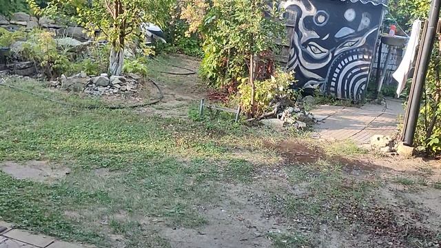 Дача.20 Августа 2025г.