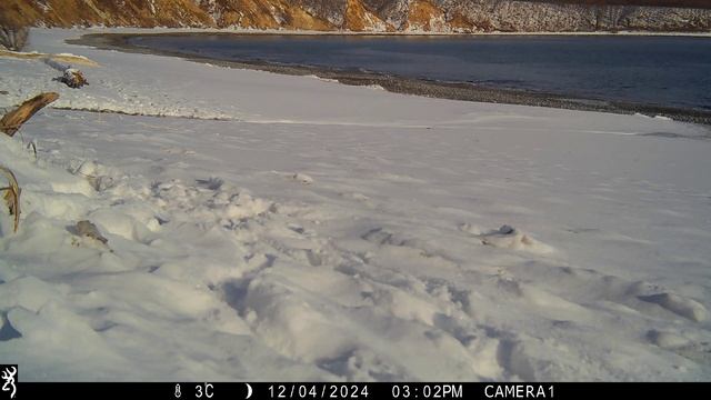 Фазаны Бухта Удобная