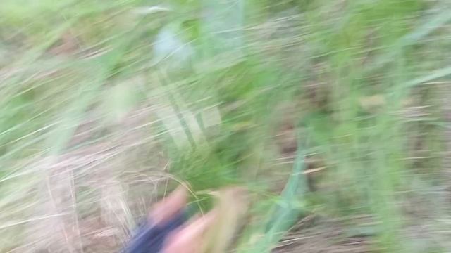 сериал шляйх.Долина 2 серия!