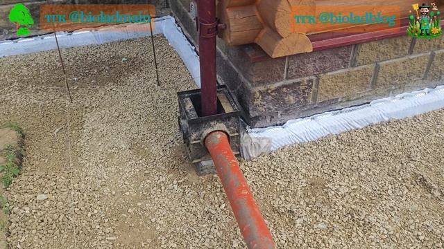 Вот и осень...а видео еще летнее, крайние деньки🥲