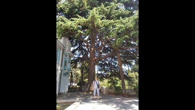 Досуг выходного дня, ЮБК Гаспра