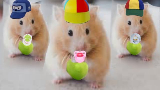 лост пузоперсо