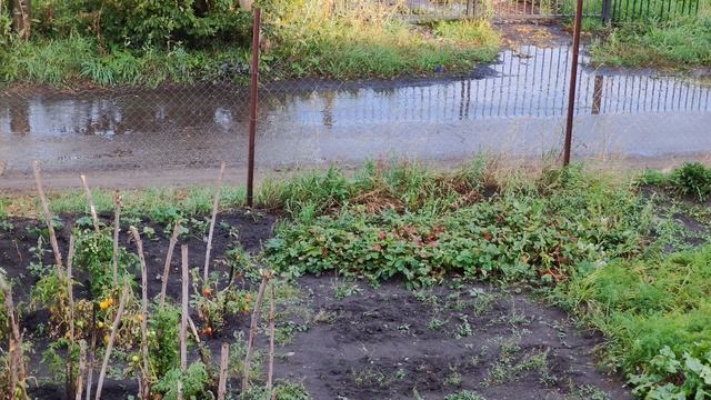 В деревне после дождя, деревенская жизнь